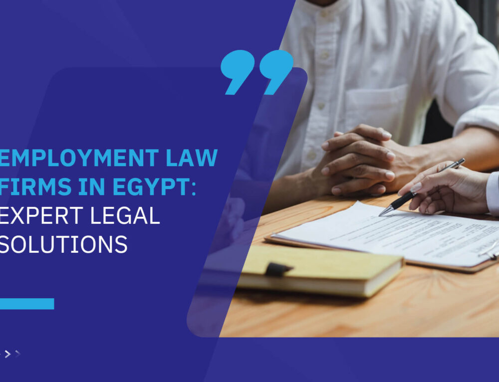 The Egyptian Judicial System