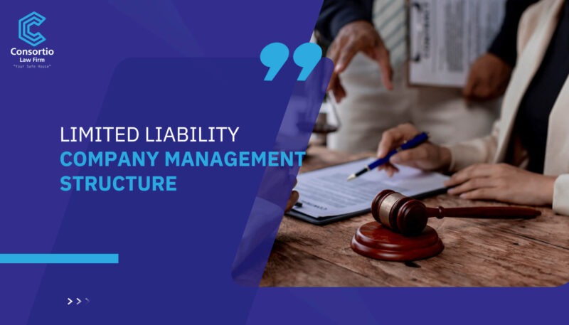Limited Liability Company Management Structure