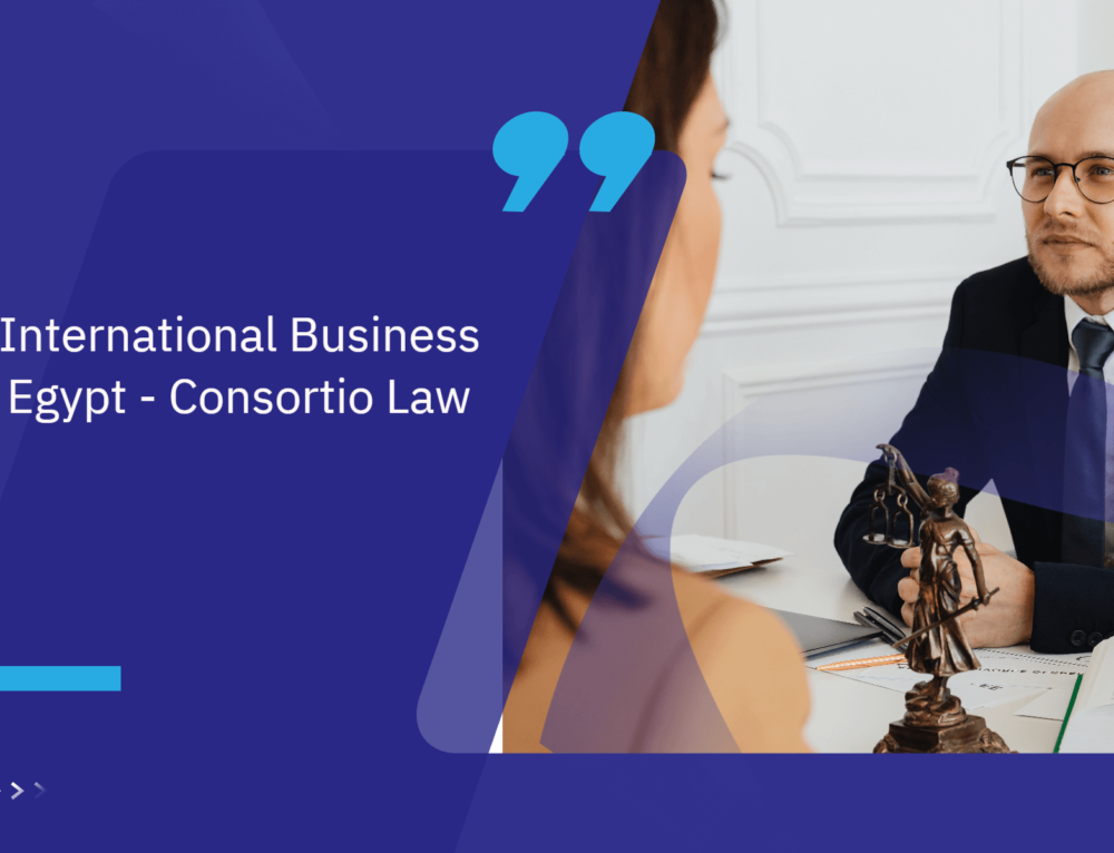 The Egyptian Judicial System